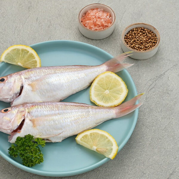 Fish Kuning – ANS Fresh and Frozen